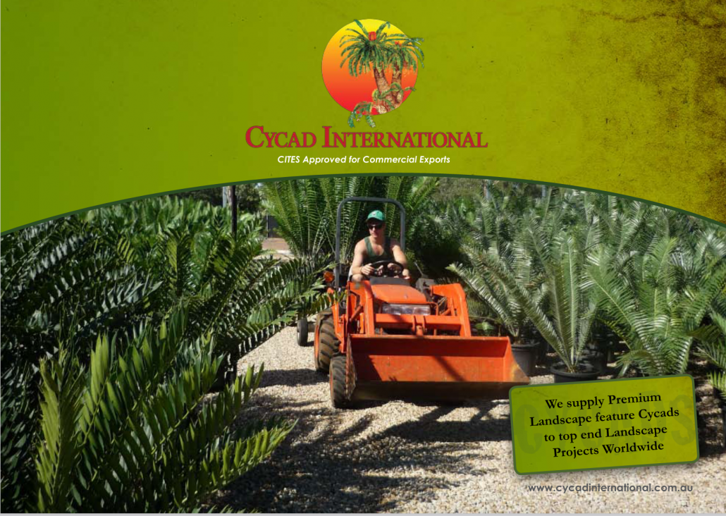 About us - Cycad International Northern Territory Australia